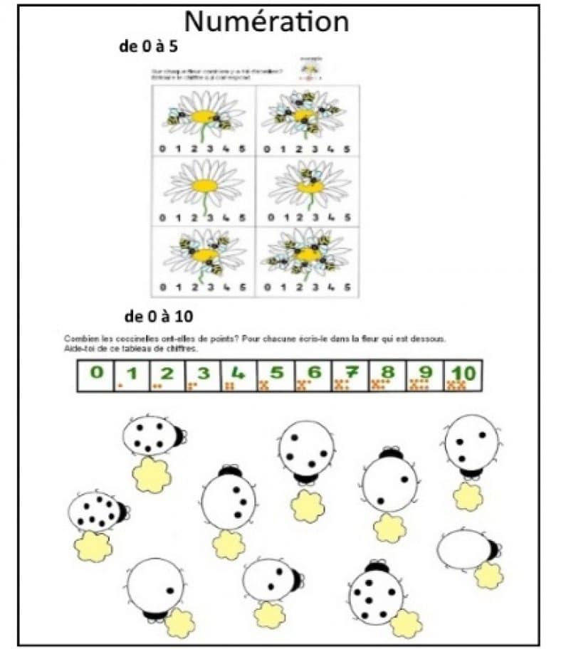 Numération : compter de 0 à 10 - Mathématiques Grande Section, Moyenne ...