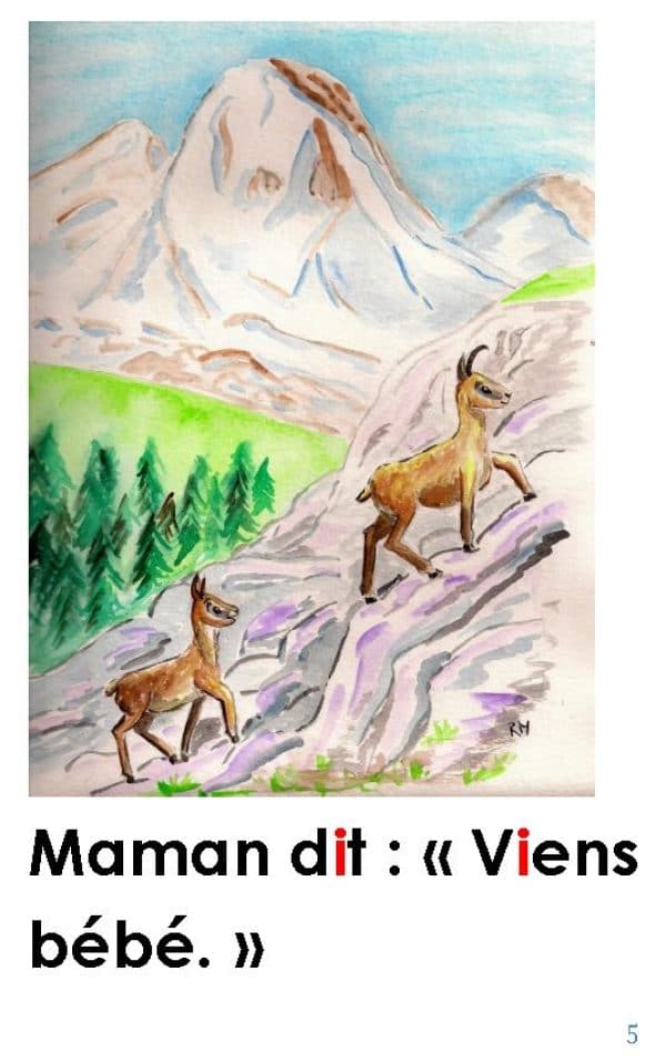 Des lettres , des mots, des histoires, lot complet - Lecture CP, Grande ...