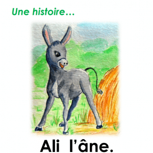 Des lettres, des mots, des histoires, livret 1 - Lecture CP, Grande ...
