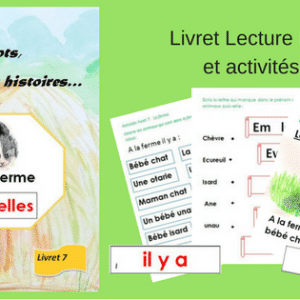 Des lettres, des mots, des histoires - Ecriture, Lecture CP, Grande ...