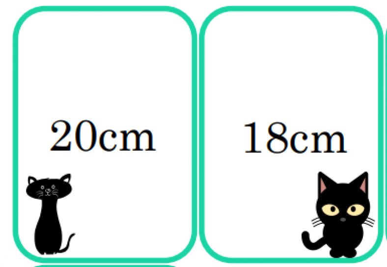 Mistigri des périmètres - Mathématiques CE2, CM1, CM2 - La Salle des ...