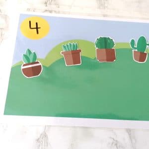Pack d'activités sur le thème des cactus - Grande Section, Moyenne ...