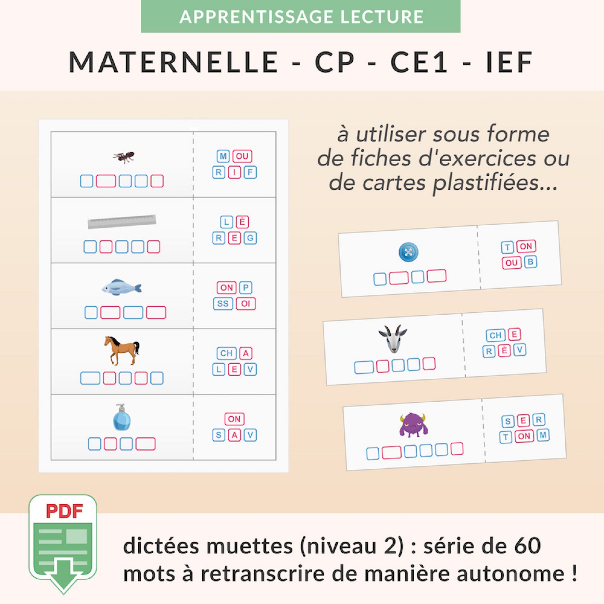 Mes indispensables : dictées muettes avec blocs de son (niveau 2 ...