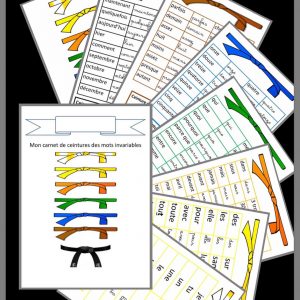 Ceintures de mots invariables Cycle II - Lecture CE1, CE2, CP - La ...