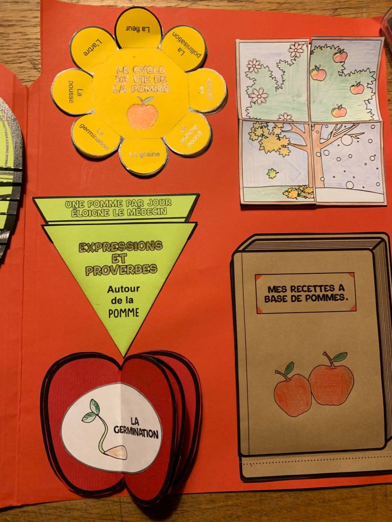 Automne! Lapbook pour tout savoir sur les pommes - Sciences CE1, CE2 ...