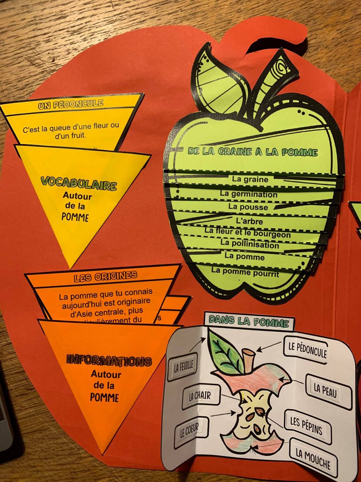Automne! Lapbook pour tout savoir sur les pommes - Sciences CE1, CE2 ...