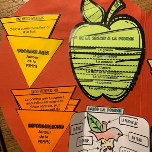 Automne! Lapbook pour tout savoir sur les pommes - Sciences CE1, CE2 ...