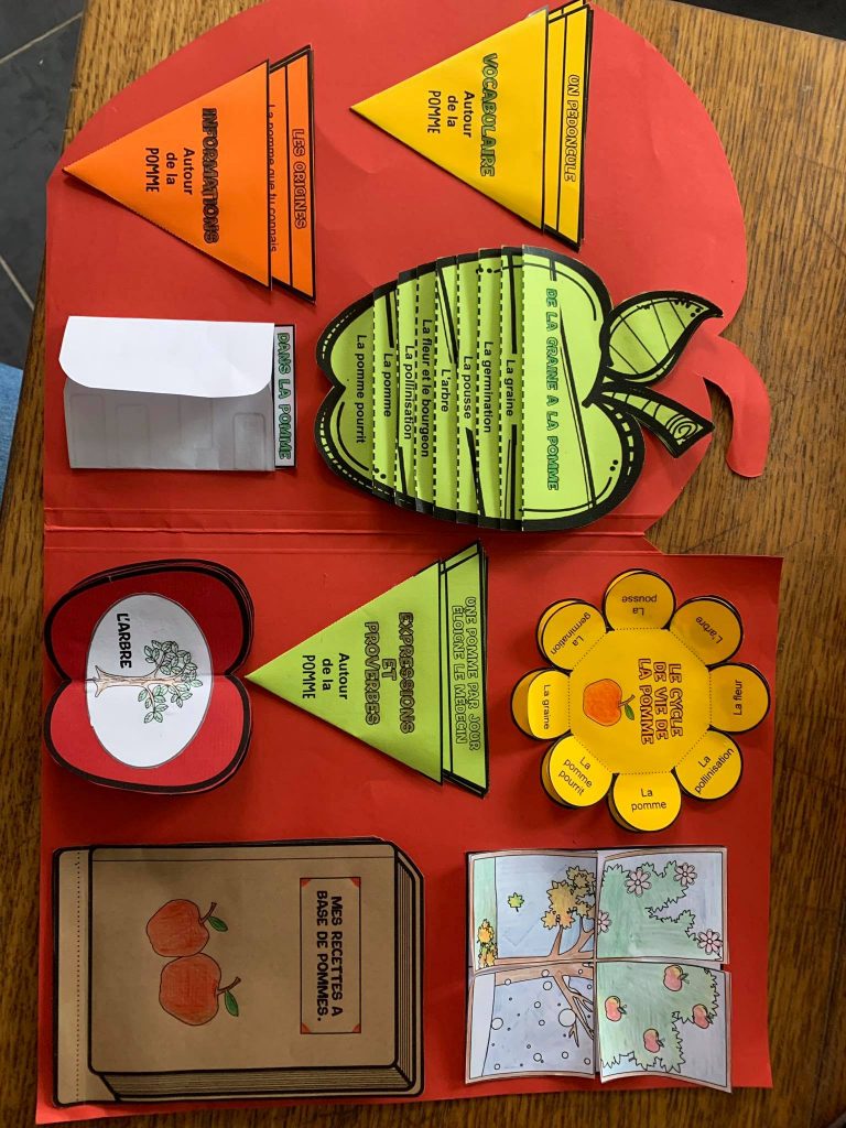 Automne! Lapbook pour tout savoir sur les pommes - Sciences CE1, CE2 ...