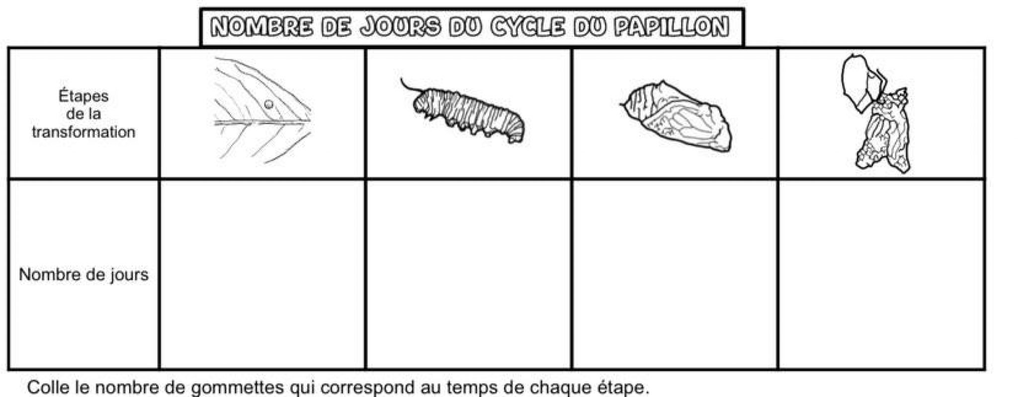 Lapbook sur le papillon (cycle + infos) - Sciences CP - La Salle des ...