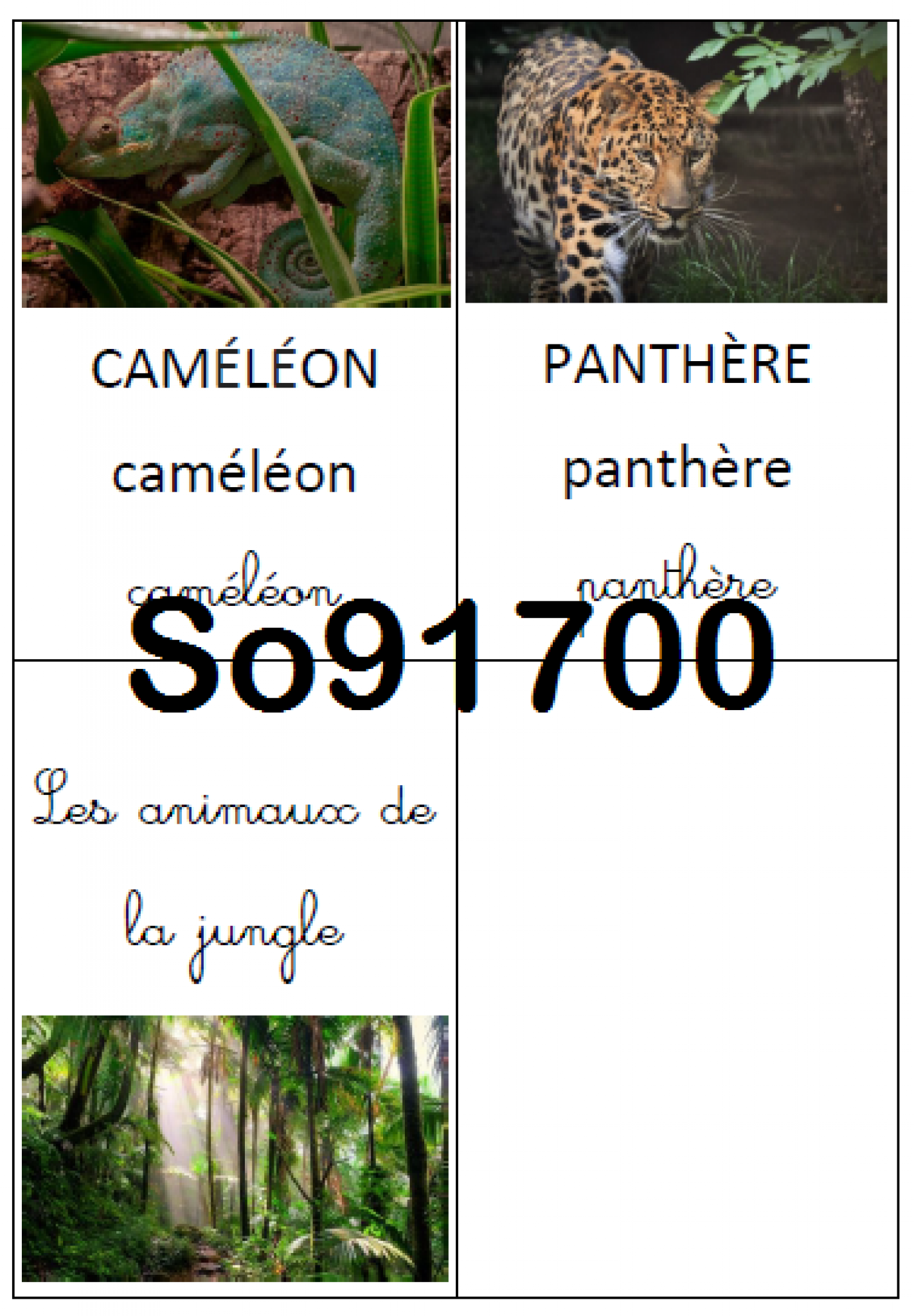 Imagier Les animaux de la jungle - CE1, CP, Grande Section, Maternelle ...