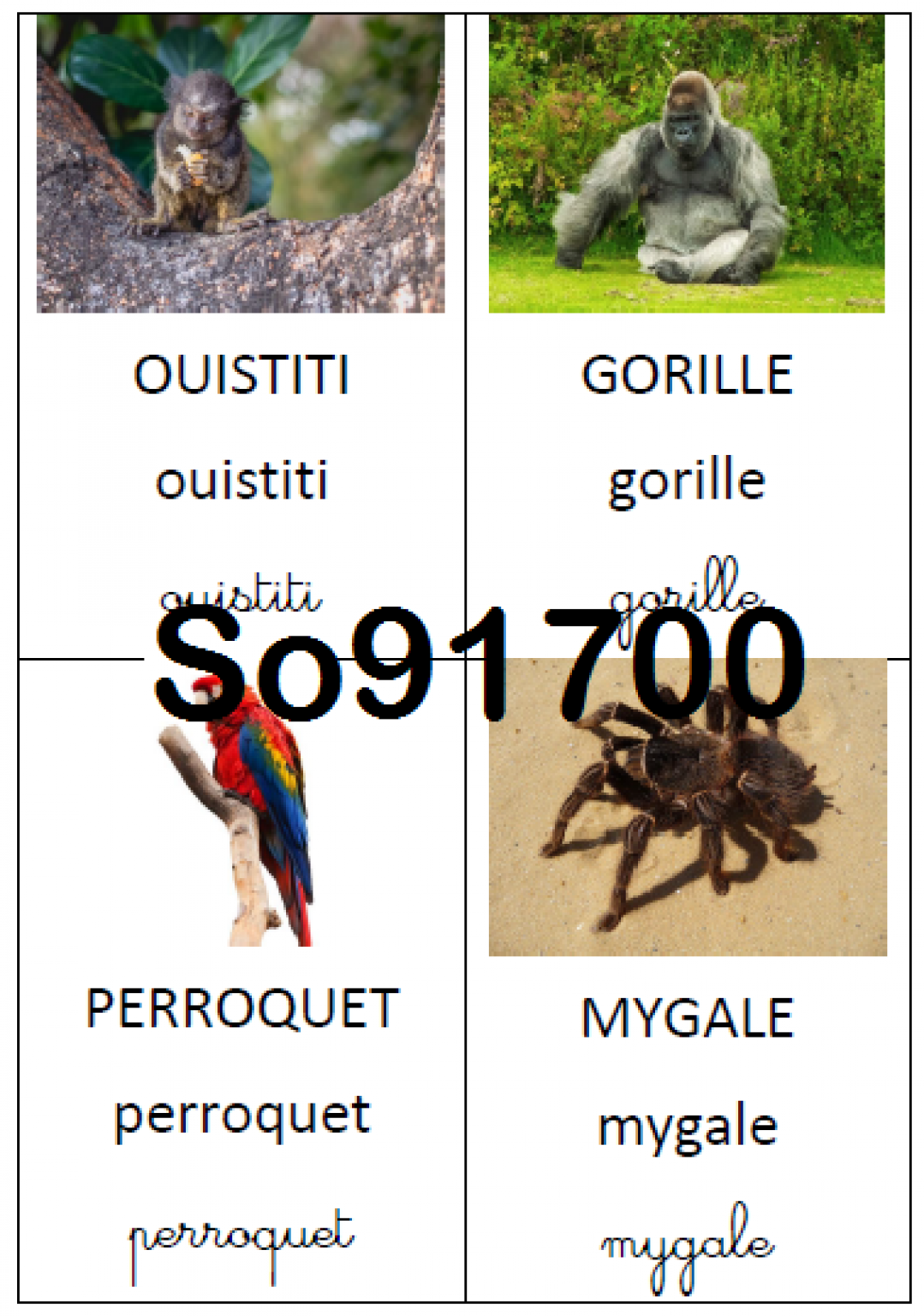 Imagier Les animaux de la jungle - CE1, CP, Grande Section, Maternelle ...