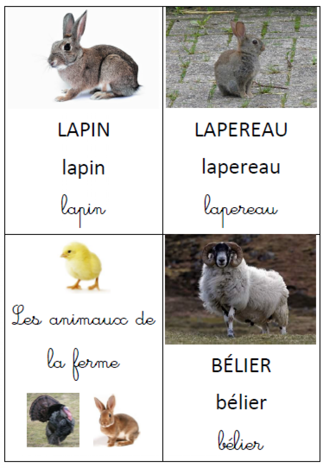 Imagier Les animaux de la ferme - CE1, CP, Grande Section, Maternelle ...