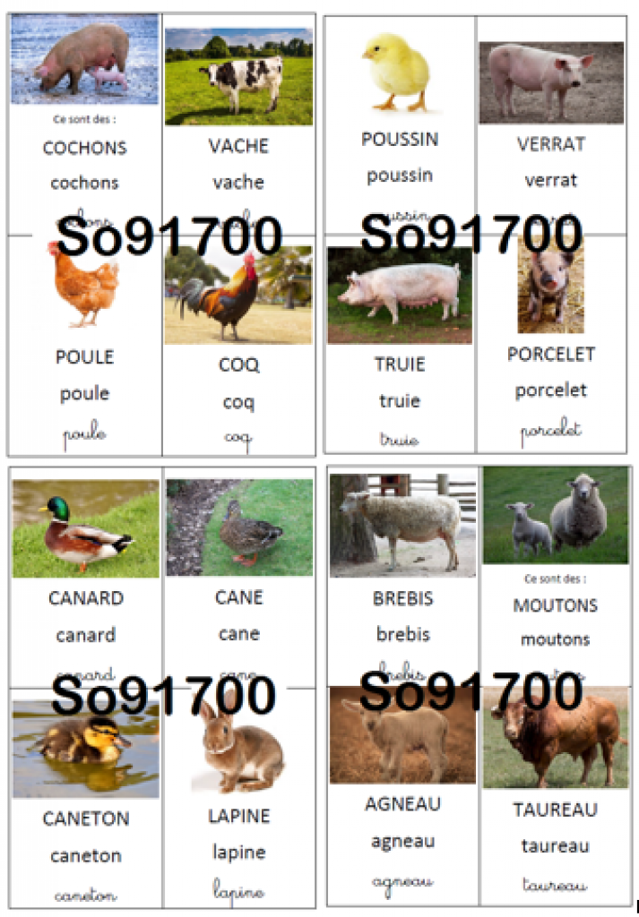 Imagier Les animaux de la ferme - CE1, CP, Grande Section, Maternelle ...