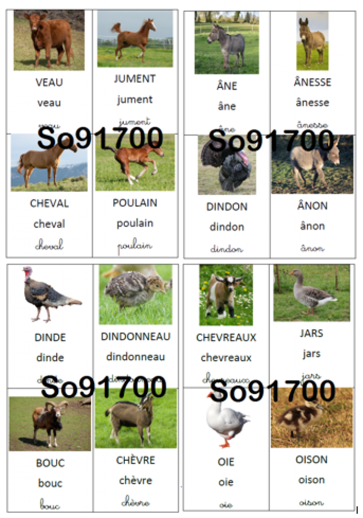 Imagier Les animaux de la ferme - CE1, CP, Grande Section, Maternelle ...