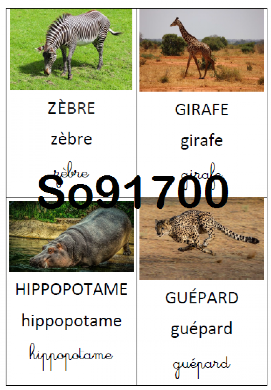 Imagier Les animaux de la savane - CE1, CP, Grande Section, Maternelle ...