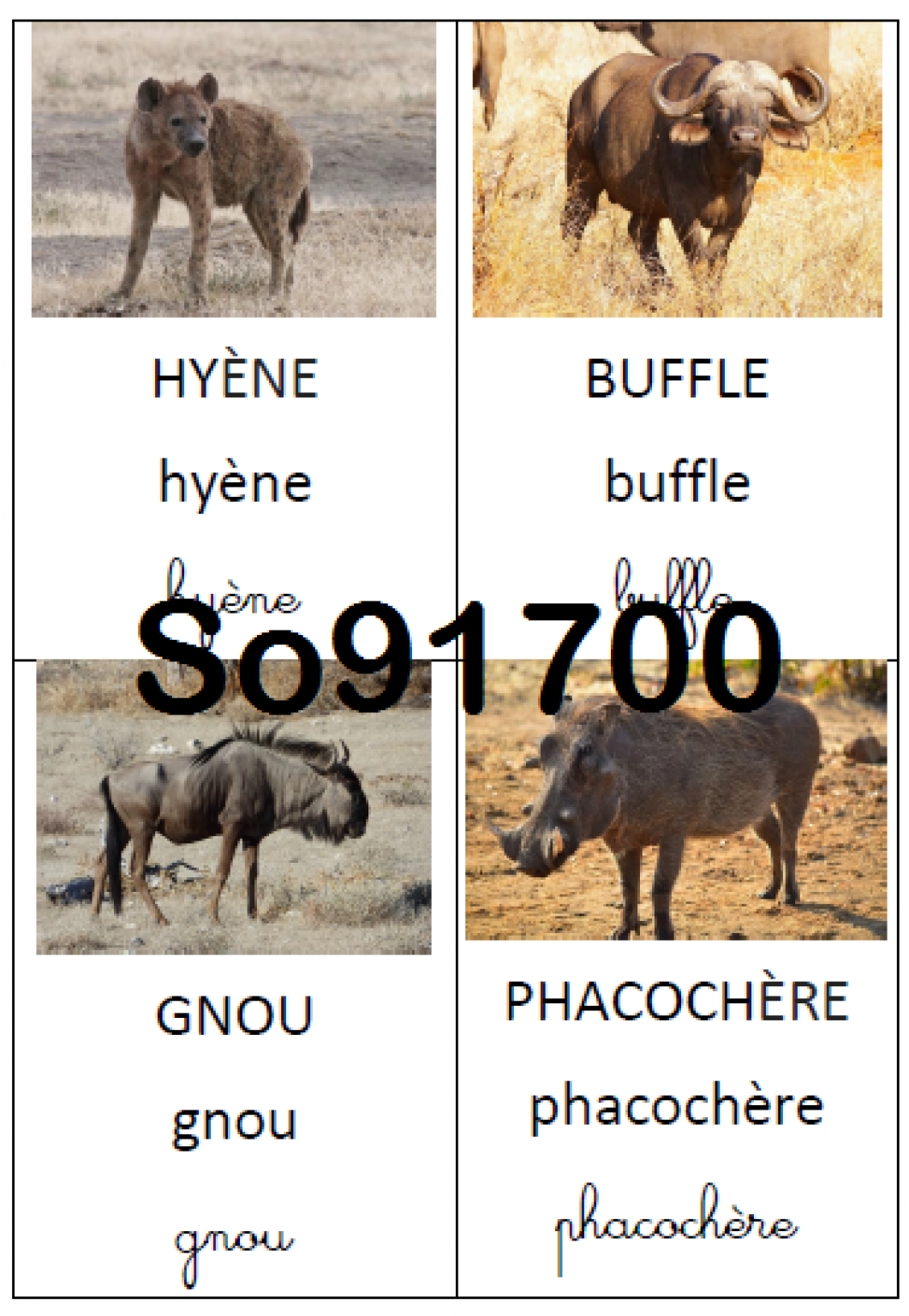 Imagier Les animaux de la savane - CE1, CP, Grande Section, Maternelle ...