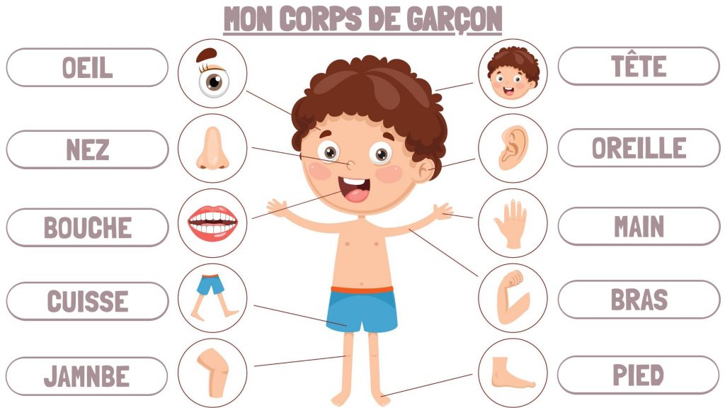 ATELIER DE MANIPULATION - LES PARTIES DU CORPS HUMAIN - Découverte du ...