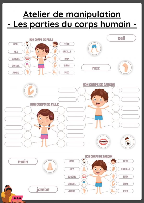 ATELIER DE MANIPULATION - LES PARTIES DU CORPS HUMAIN - Découverte du ...