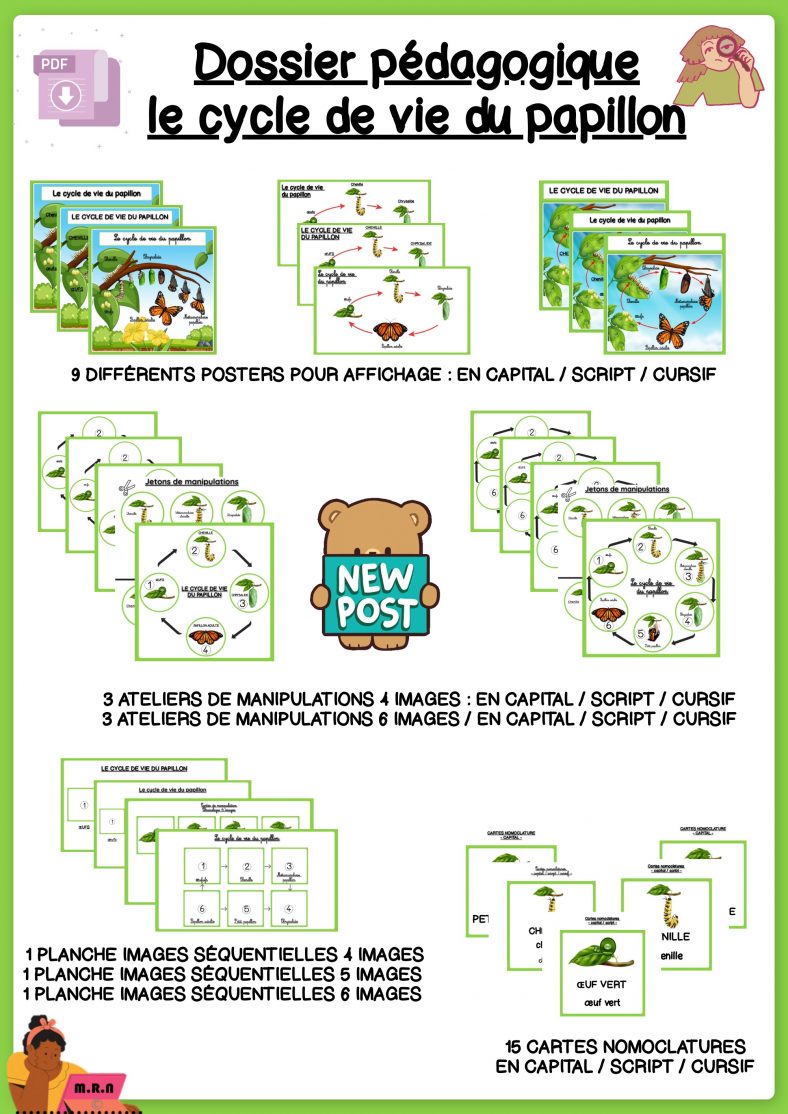 LE CYCLES DE VIE DU PAPILLON - AFFICHAGE ET ATELIERS DE MANIPULATIONS ...