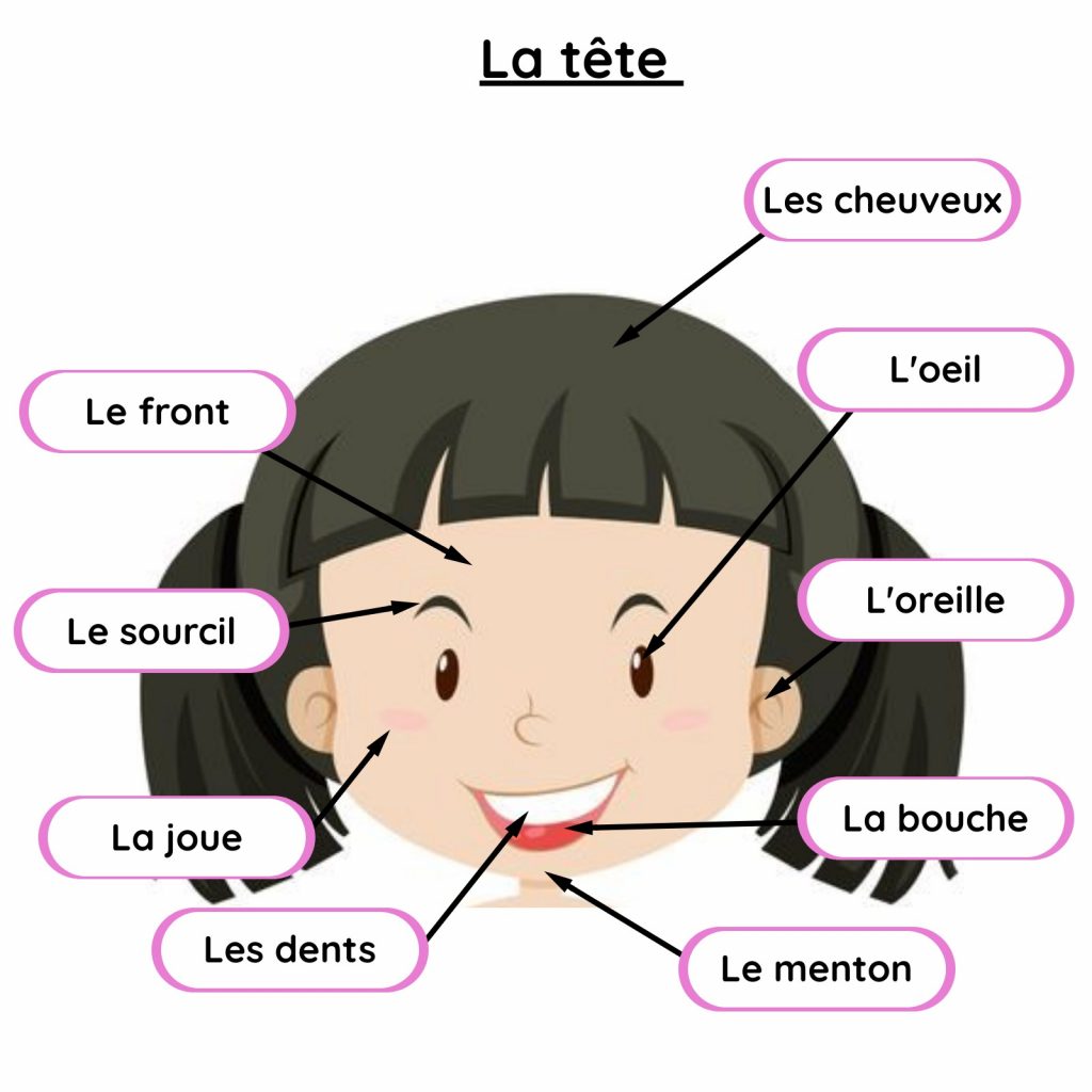 Le corps humain - planches et manipulation - Découverte du Monde ...