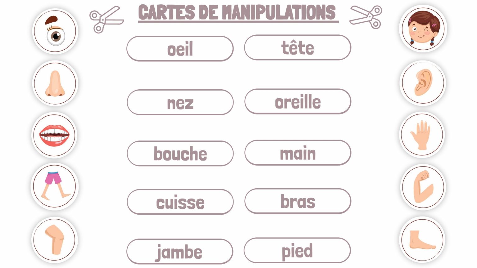 ATELIER DE MANIPULATION - LES PARTIES DU CORPS HUMAIN - Découverte du ...