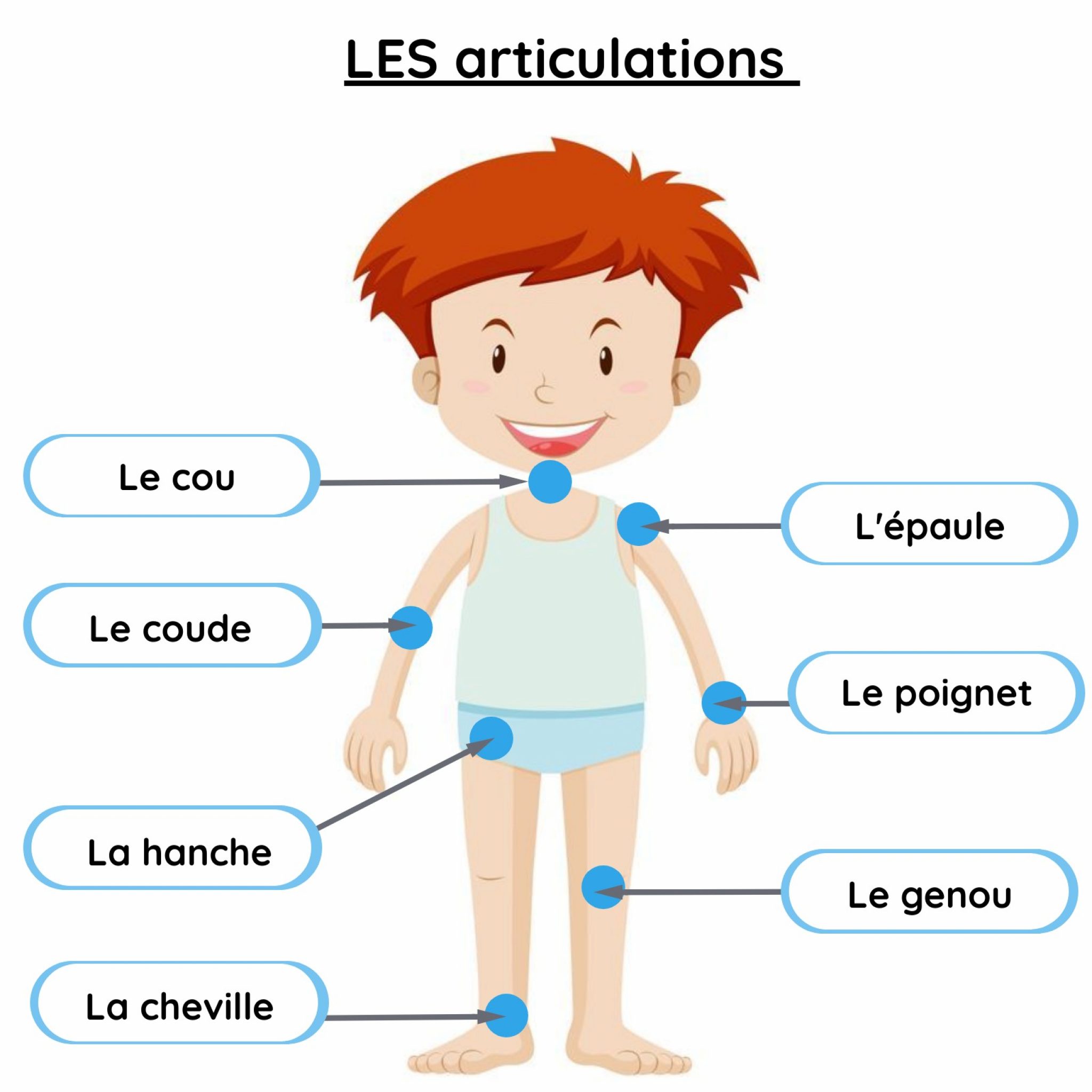 Le corps humain - planches et manipulation - Découverte du Monde ...