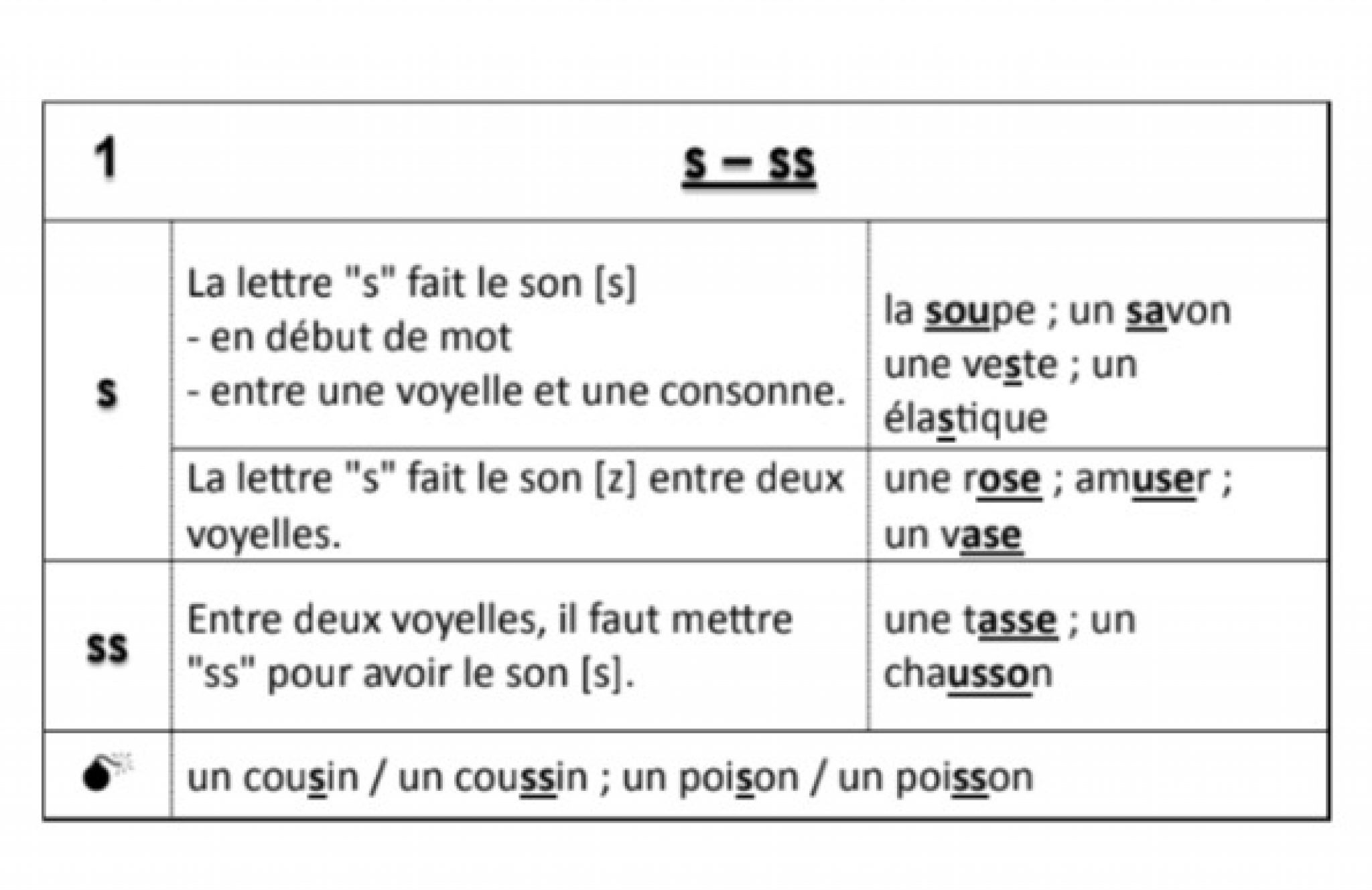 Orthographe - leçon + exercices s/ss - CE1, CE2, CM1, CM2 - La Salle ...