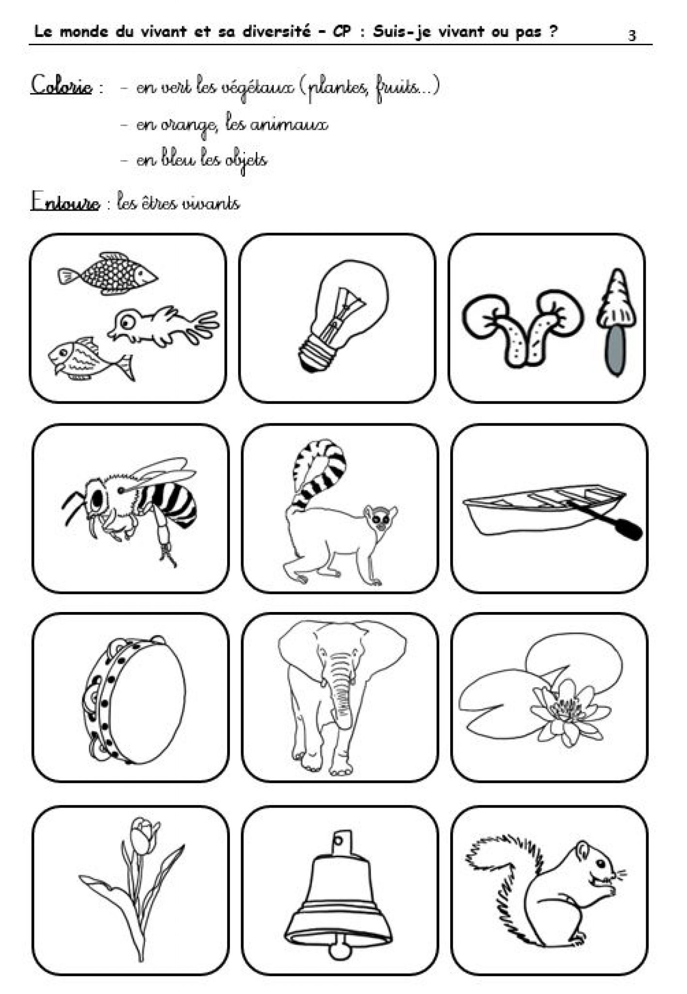 Questionner le monde du vivant au cycle 2 - Sciences CP, Pour les ...