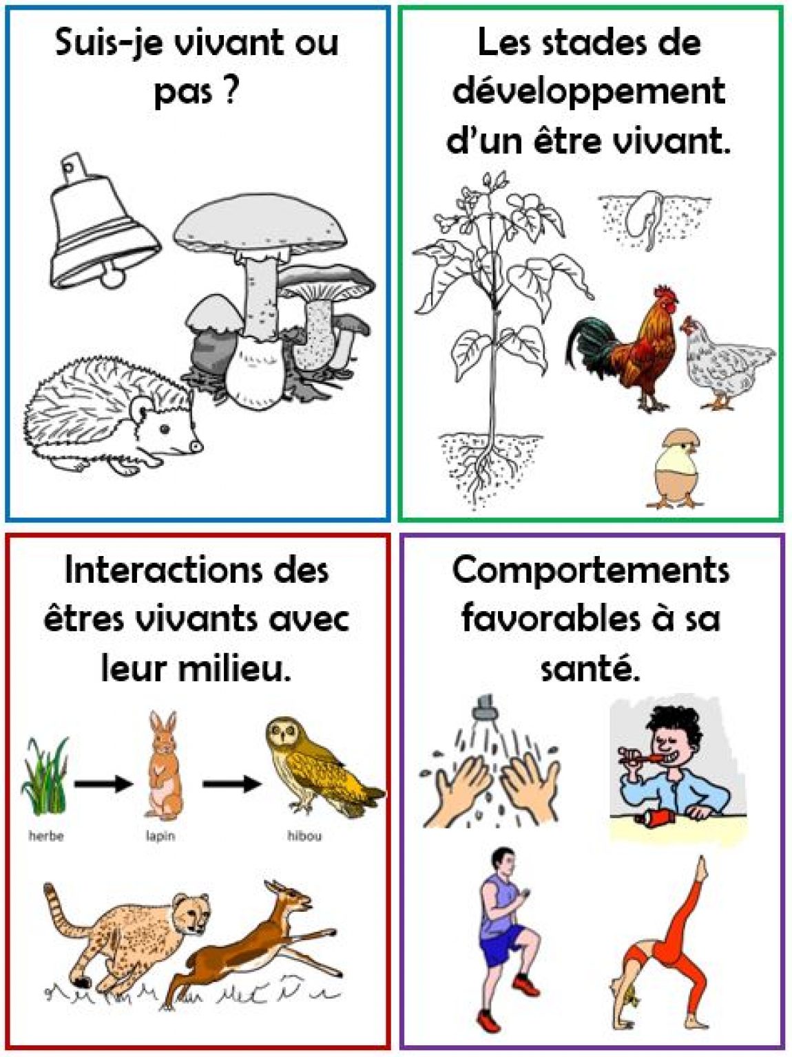 Questionner le monde du vivant au cycle 2 - Sciences CE1, CE2, CP, Pour ...