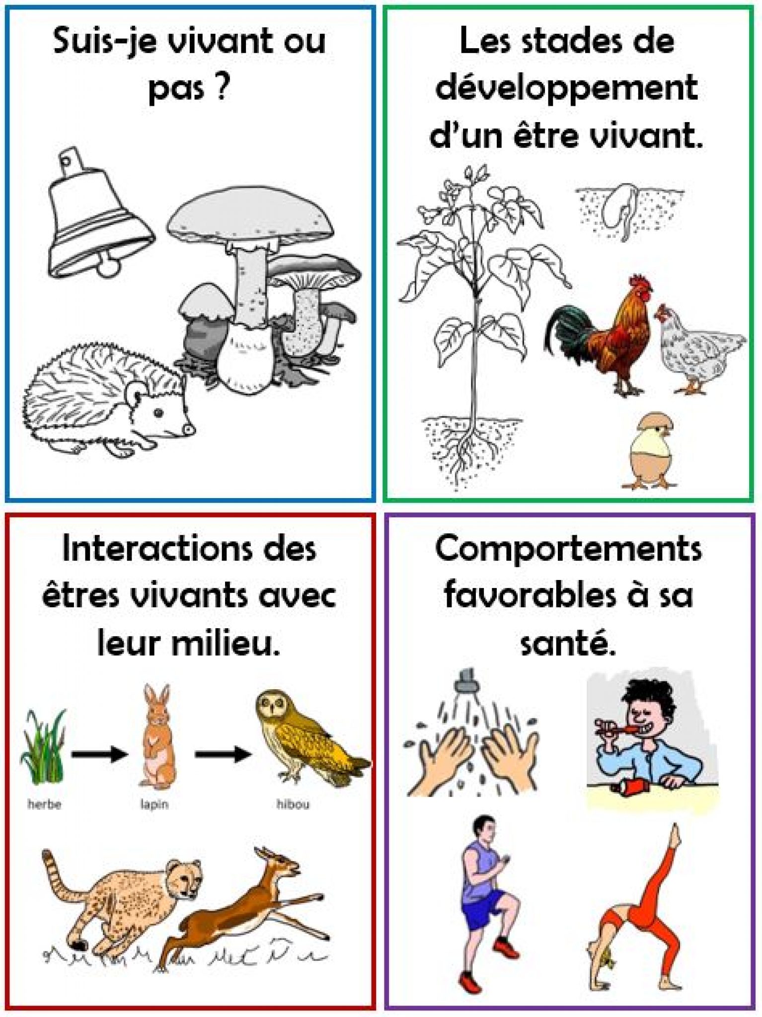 Questionner le monde du vivant au cycle 2 - Sciences Pour les ...