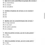 Activité lecture et lapbook sur les tortues - Lecture, Sciences CE1 ...