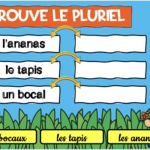 GOOGLE SLIDES Pluriel des Noms et Adjectifs - Autonomie, Etude de la ...