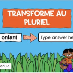 GOOGLE SLIDES Pluriel des Noms et Adjectifs - Autonomie, Etude de la ...
