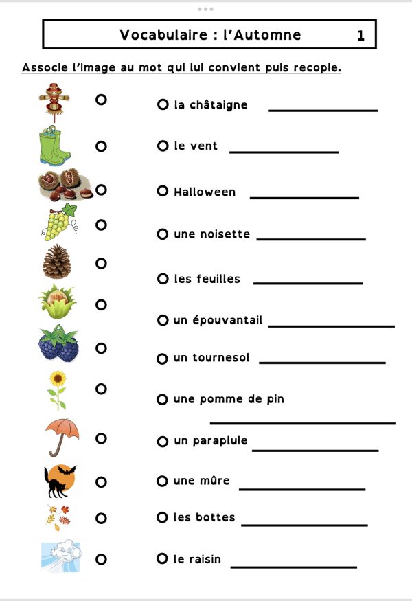 Mur de mots + exercices de vocabulaire AUTOMNE - Lecture CE1, CP - La ...