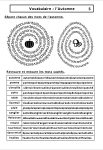 Mur de mots + exercices de vocabulaire AUTOMNE - Lecture CE1, CP - La ...