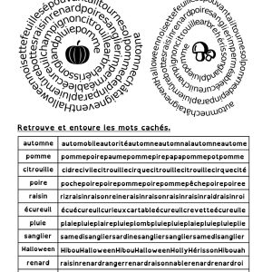 Mur de mots + exercices de vocabulaire AUTOMNE - Lecture CE1, CP - La ...