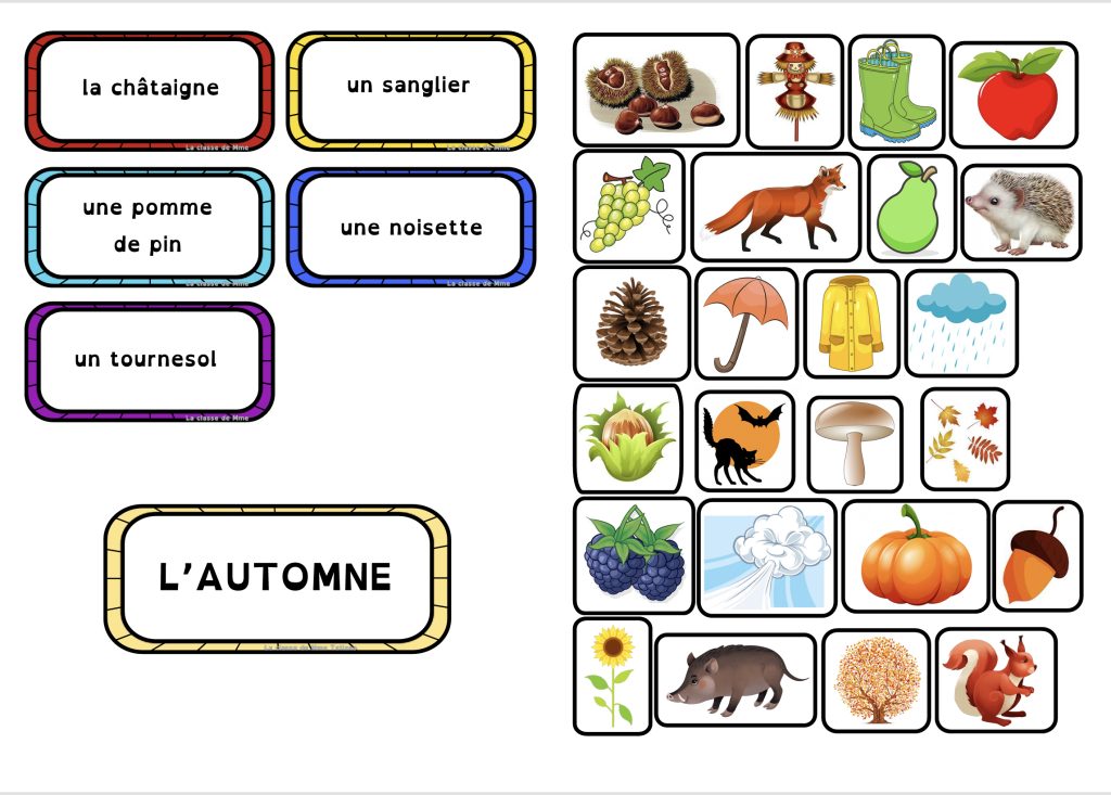Mur de mots + exercices de vocabulaire AUTOMNE - Lecture CE1, CP - La ...