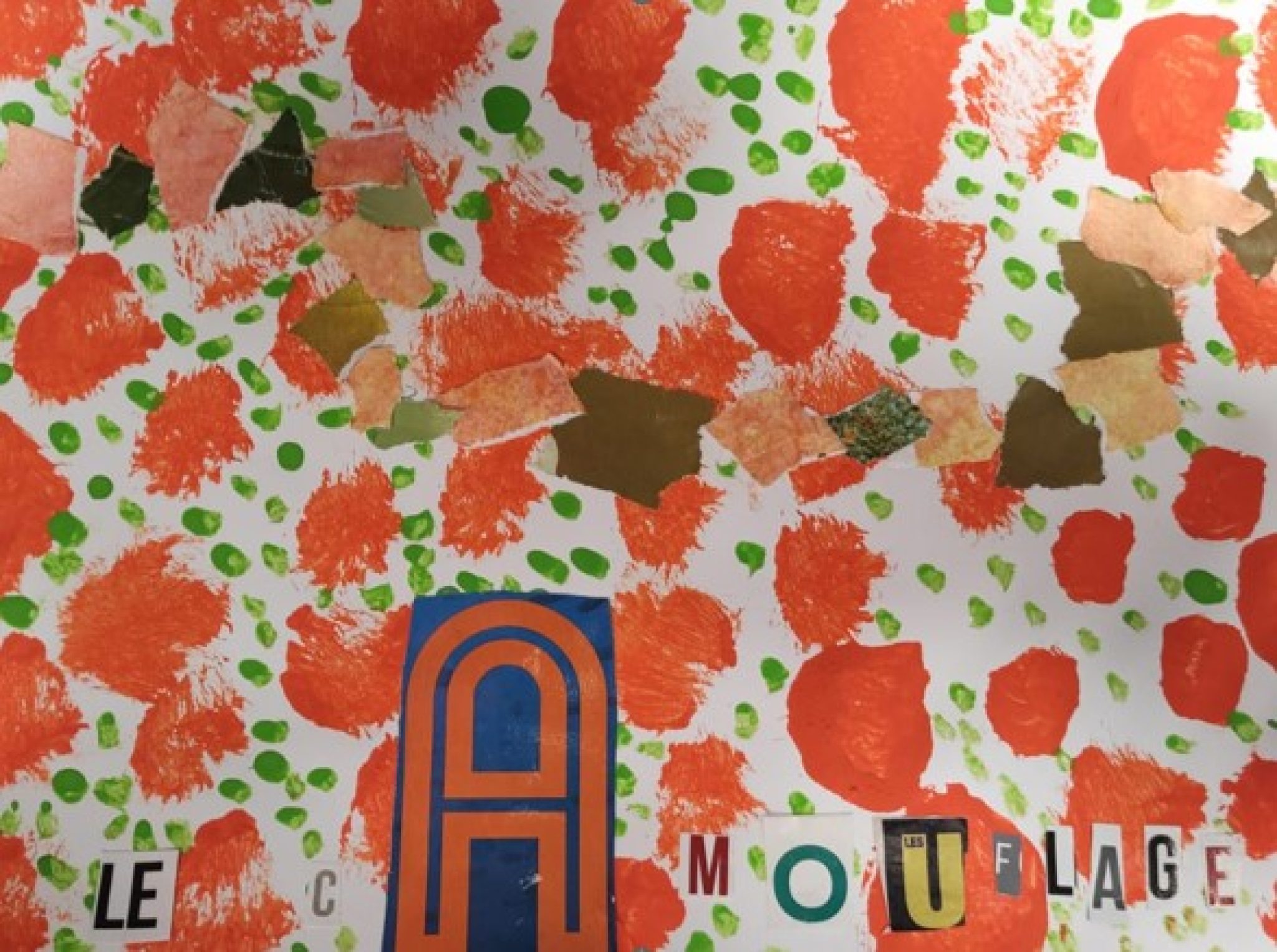 PROJET D ART : LE CAMOUFLAGE CE1 - Lecture, Mathématiques, Sciences CE1 ...