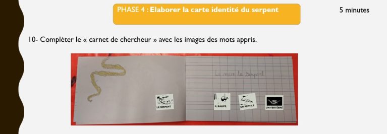 SCIENCES/ANGLAIS-UN LABORATOIRE EN CLASSE GS/CP/CE1 Projet 1 : le ...