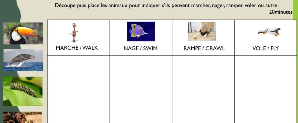 SCIENCE/ANGLAIS UN LABORATOIRE EN CLASSE GS/CP/CE1 Projet 2 : le crabe ...