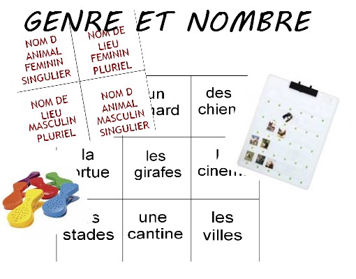 Genre et nombre des noms - Etude de la Langue CE1, CE2 - La Salle des ...