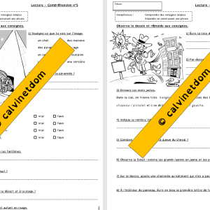 Fiches de lecture compréhension cycle 2 (CP-CE1) - Etude de la Langue ...