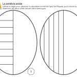Symétrie axiale : les œufs de Pâques - Mathématiques CE2, CM1, CM2 - La ...