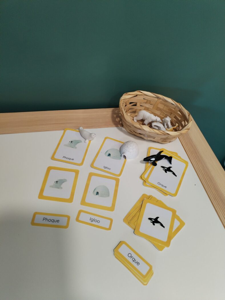 carte de nomenclature : les animaux de l'Arctique - Découverte du Monde ...