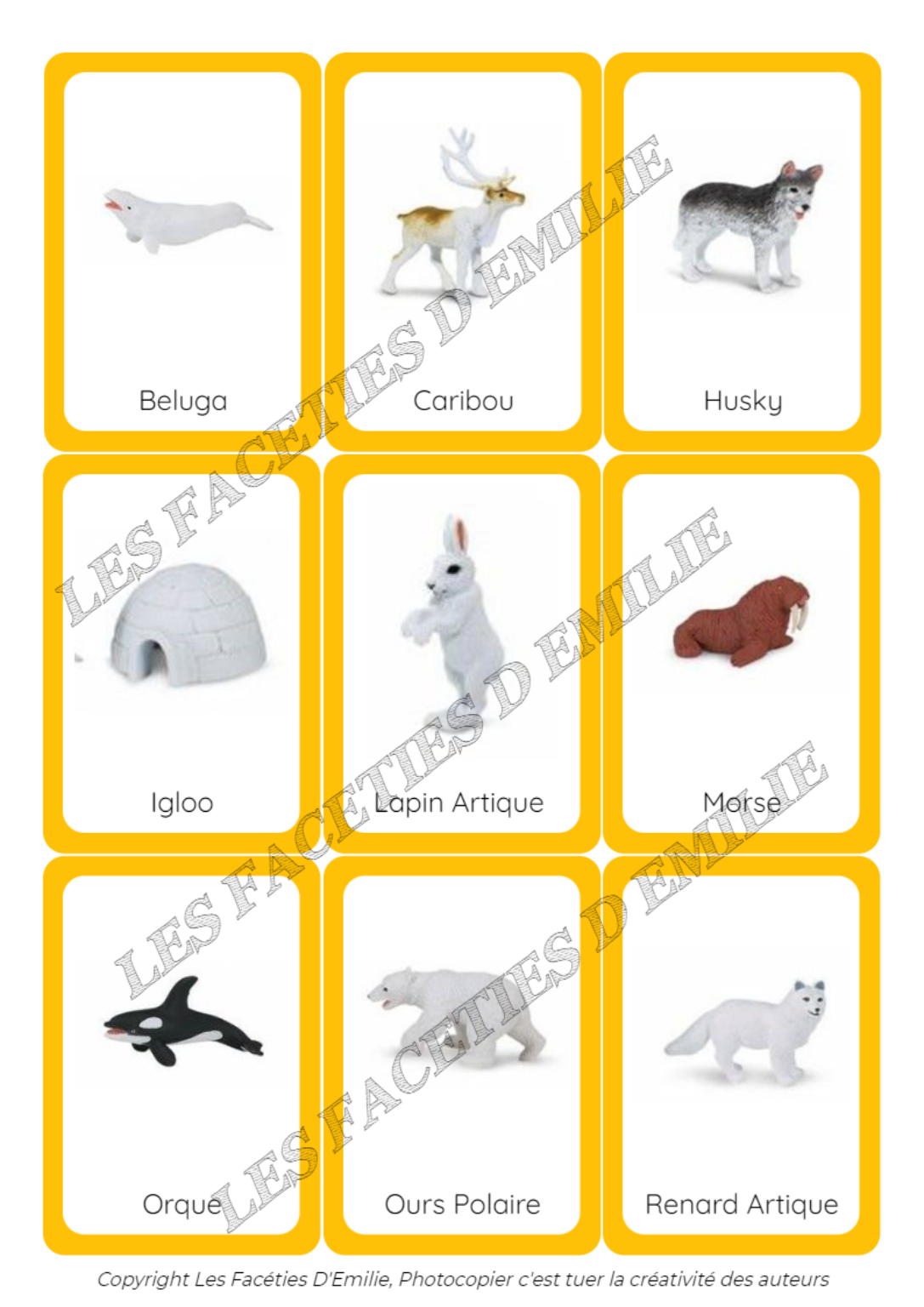 carte de nomenclature : les animaux de l'Arctique - Découverte du Monde ...