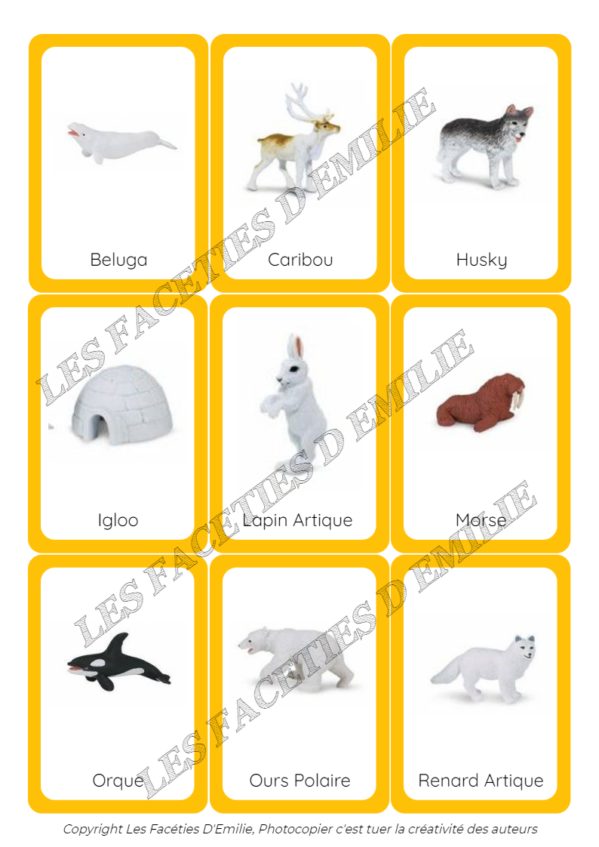 carte de nomenclature : les animaux de l'Arctique - Découverte du Monde ...