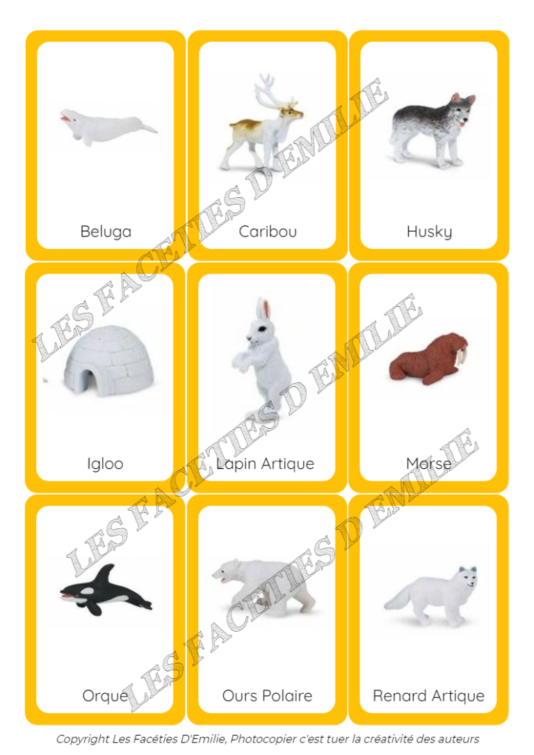 carte de nomenclature : les animaux de l'Arctique - Découverte du Monde ...