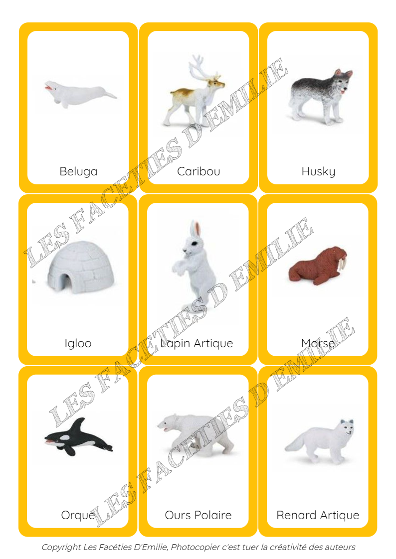 carte de nomenclature : les animaux de l'Arctique - Découverte du Monde ...