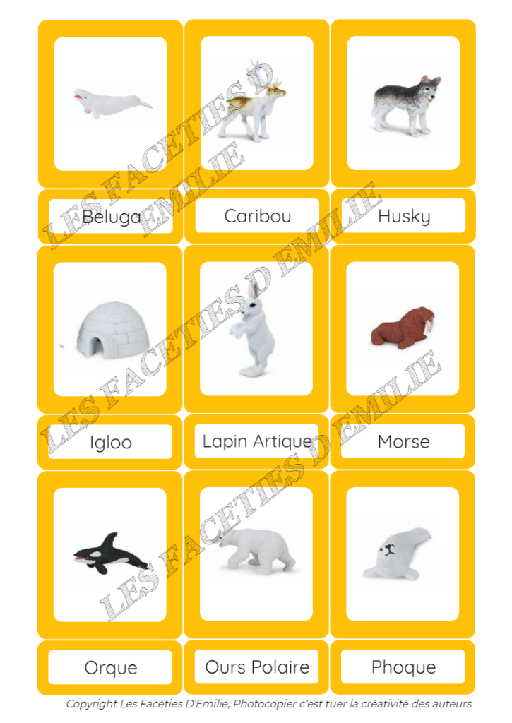 carte de nomenclature : les animaux de l'Arctique - Découverte du Monde ...