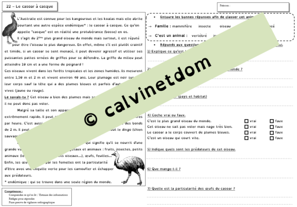 Fichier de lecture documentaire - Les animaux CE2 / CM - Lecture ...